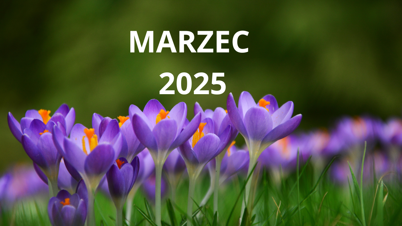 Podsumowanie miesiąca - marzec 2025 - "Solidarność" przy Państwowej ...